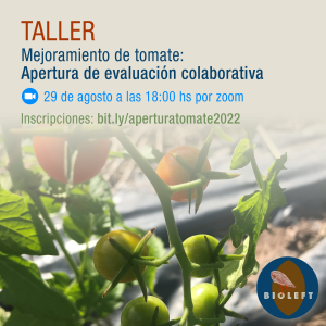 Taller de mejoramiento y evaluación colaborativa de tomate – Bioleft